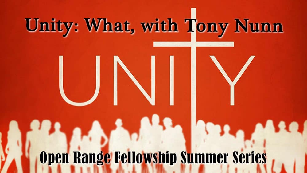 Unity Series Tony